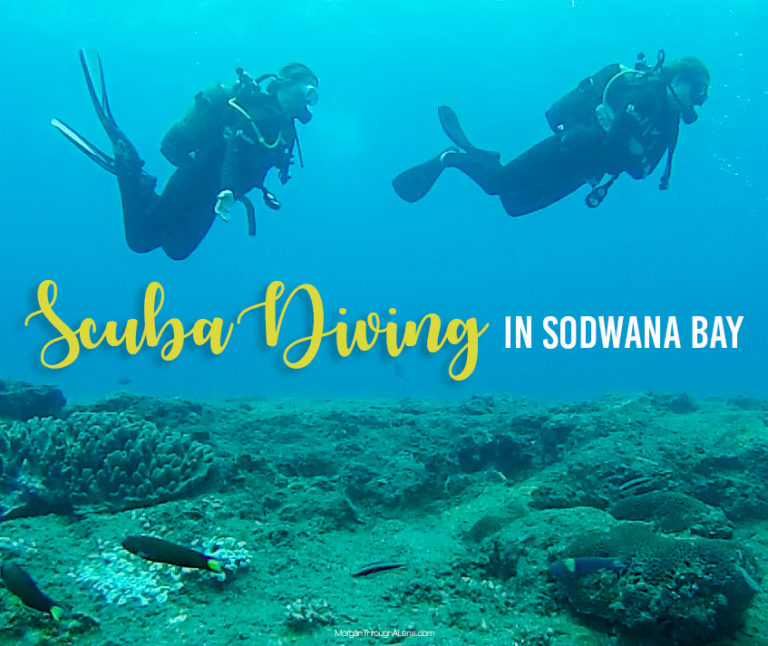 SCUBA DIVING in Sodwana Bay + Thanksgiving! - Morgan Through A Lens