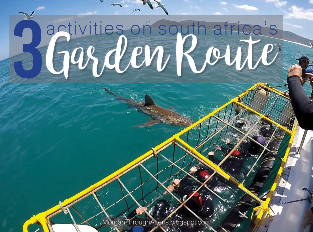 3 Garden Route Activities - Morgan Through A Lens